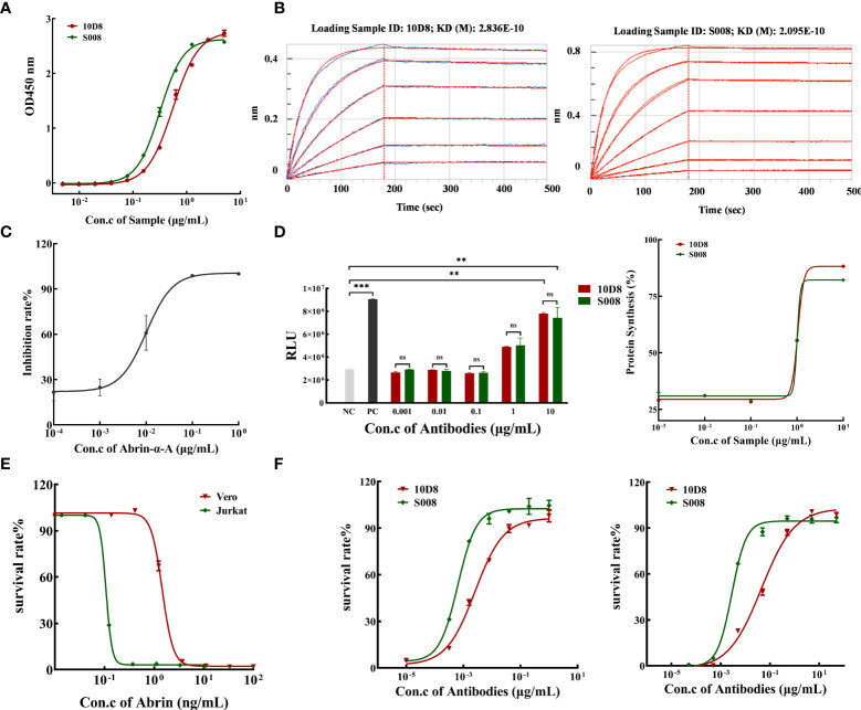 A Novel Humanized Anti-Abrin A Chain Antibody Inhibits Abrin Toxicity ... A Novel Humanized Anti-Abrin A Chain Antibody Inhibits Abrin Toxicity ...