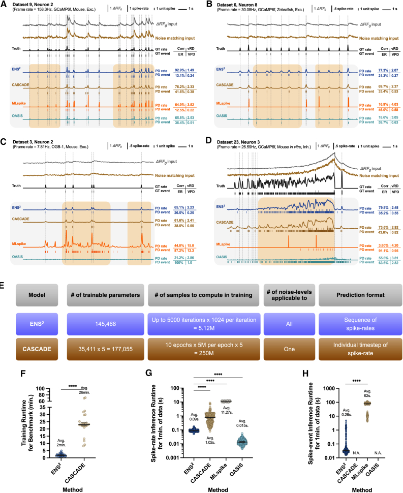 Effective and efficient neural networks for spike inference from in vivo calcium imaging - PMC