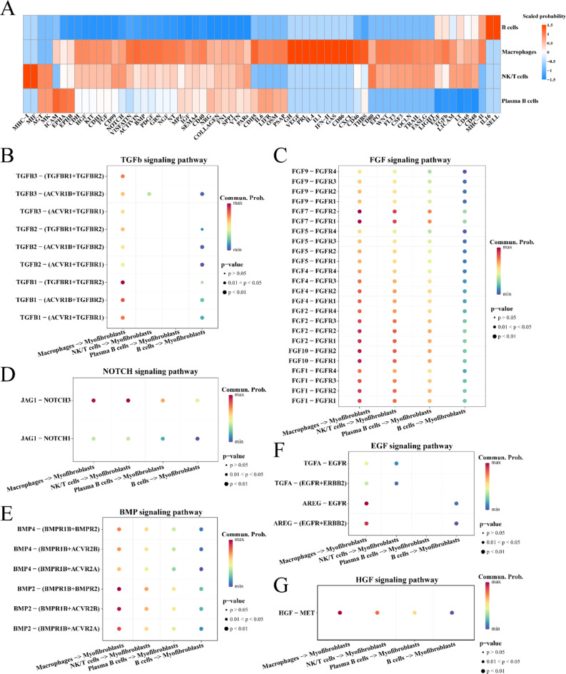 Multi-omic analysis identifies the molecular mechanism of hepatocellular carcinoma with ...
