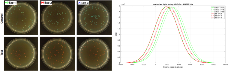 AutoCellSeg: robust automatic colony forming unit (CFU)/cell analysis using adaptive image ...