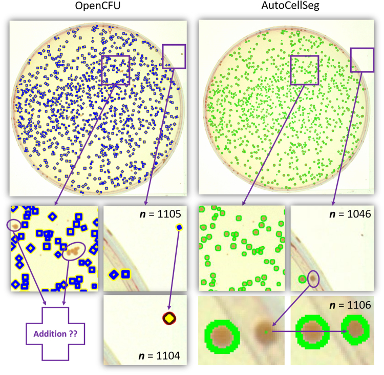 AutoCellSeg: robust automatic colony forming unit (CFU)/cell analysis using adaptive image ...
