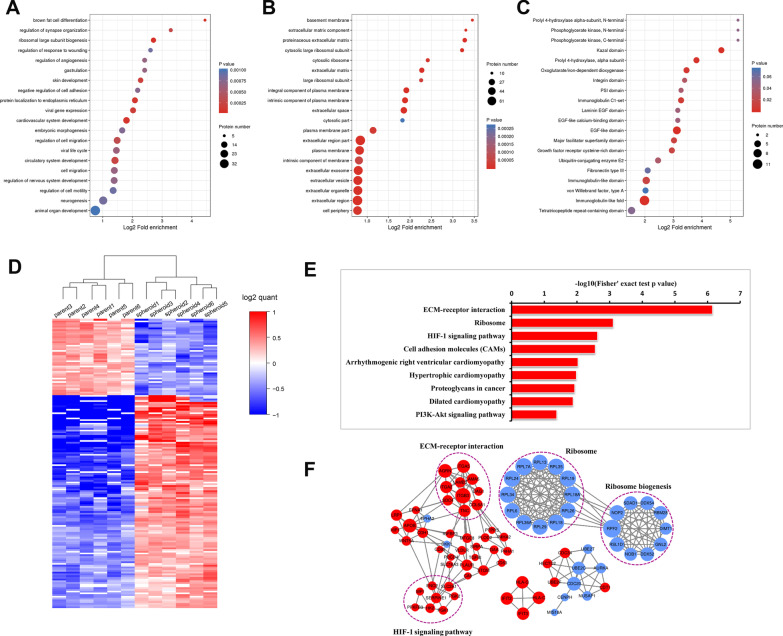 TMT-based quantitative proteomic analysis of spheroid cells of endometrial cancer possessing ...