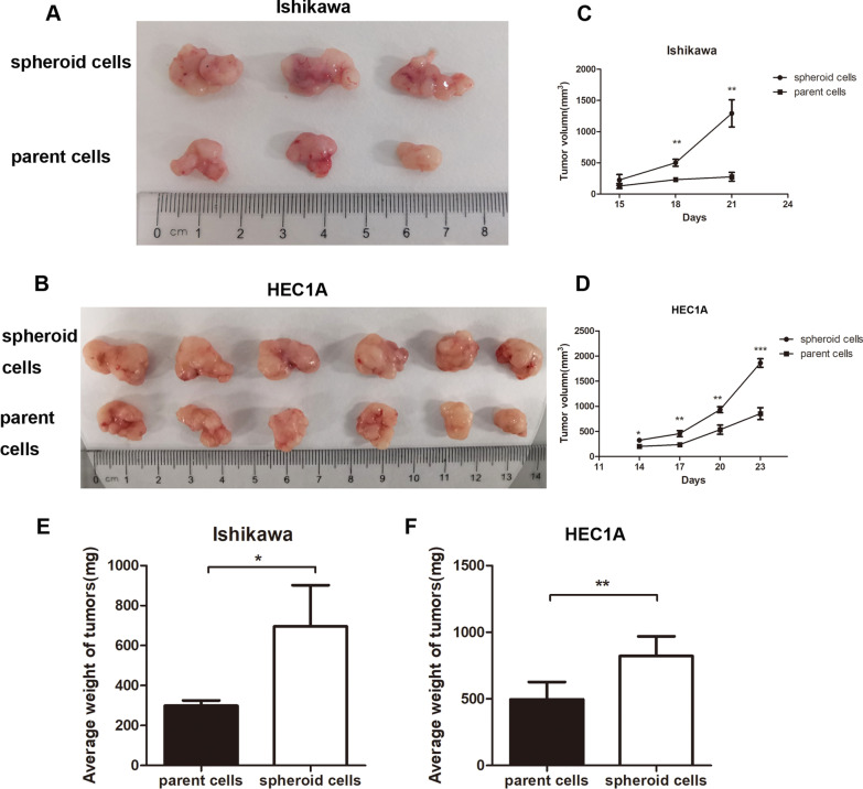 TMT-based quantitative proteomic analysis of spheroid cells of endometrial cancer possessing ...