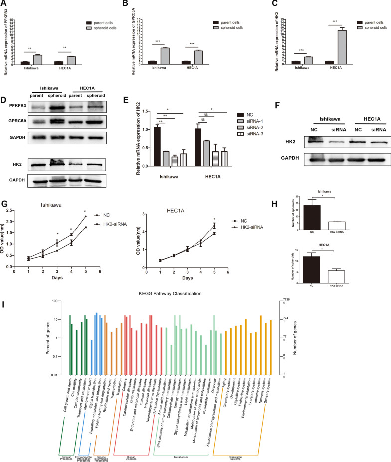 TMT-based quantitative proteomic analysis of spheroid cells of endometrial cancer possessing ...