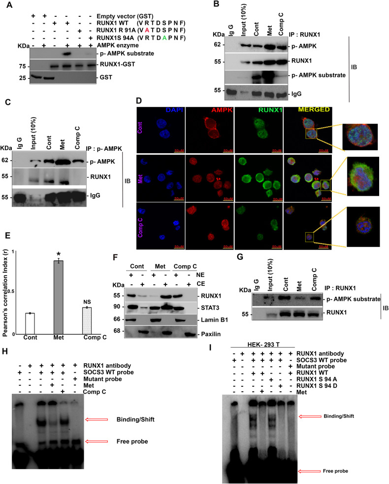 AMPK-induced novel phosphorylation of RUNX1 inhibits STAT3 activation and overcome imatinib ...
