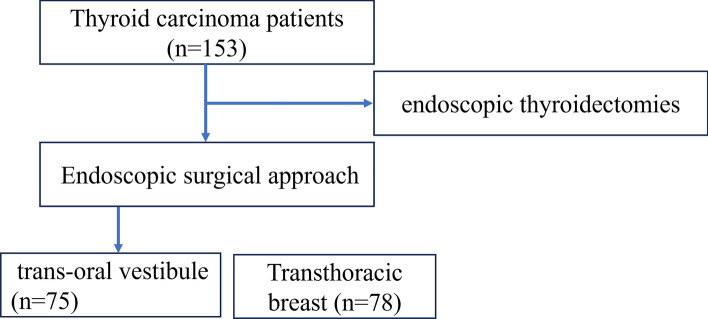 Endoscopic thyroidectomy for central lymph node dissection—is there a ...