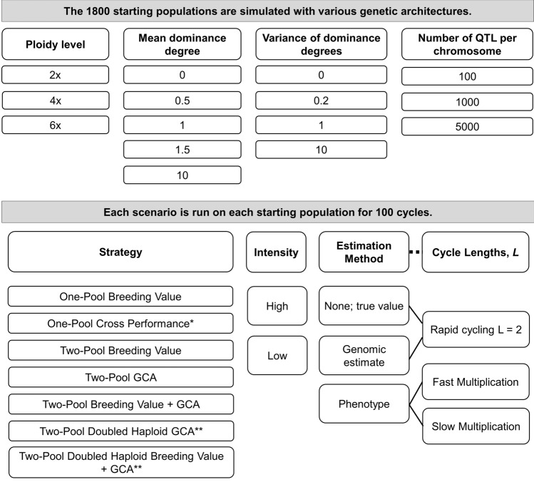 Clonal diploid and autopolyploid breeding strategies to harness heterosis: insights from ...