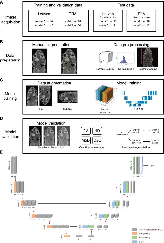 AI-based MRI auto-segmentation of brain tumor in rodents, a multicenter ...