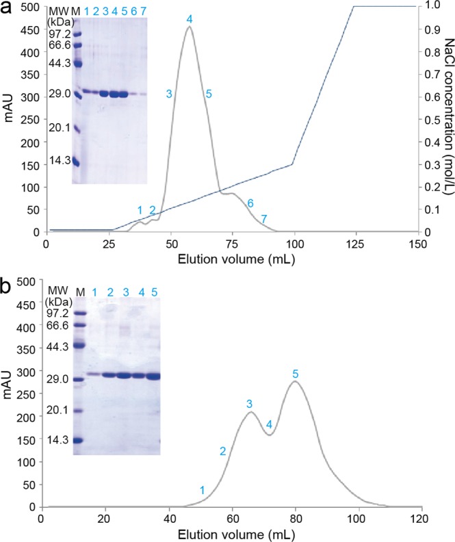 Recovery of Yam Soluble Protein from Yam Starch Processing Wastewater - PMC