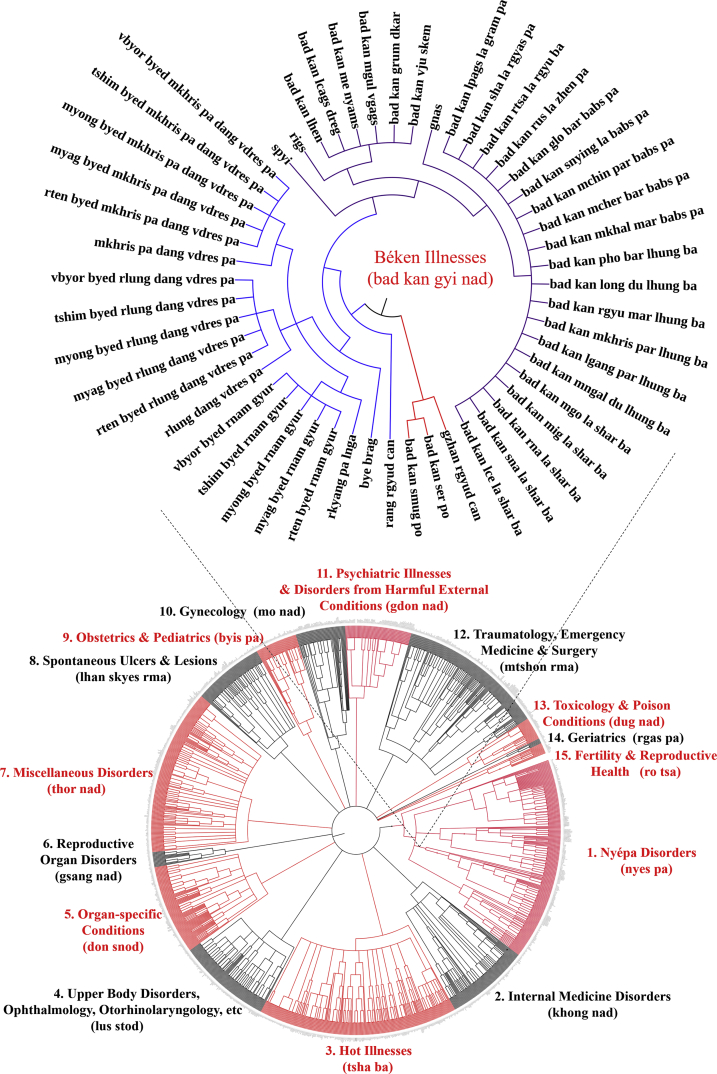 Dataset of illness classifications in Sowa Rigpa: Compilations from the ...
