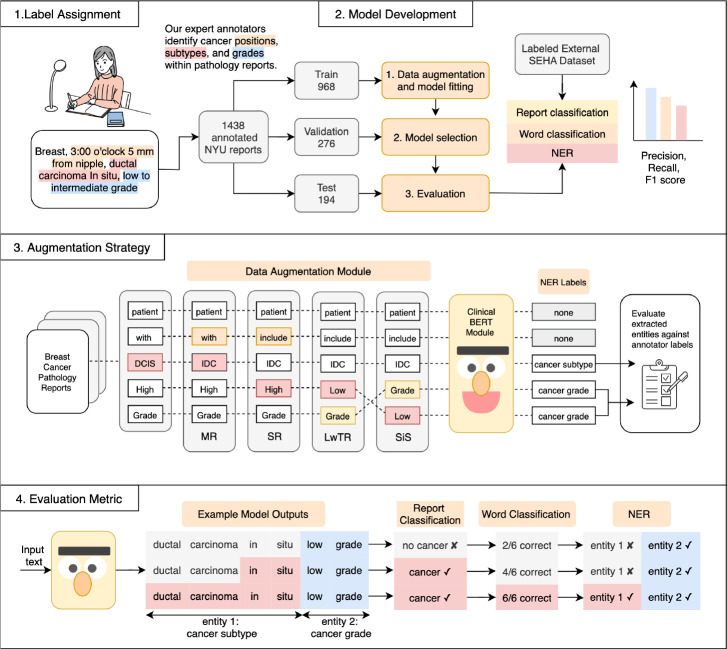 Improving Information Extraction from Pathology Reports using Named Entity Recognition - PMC
